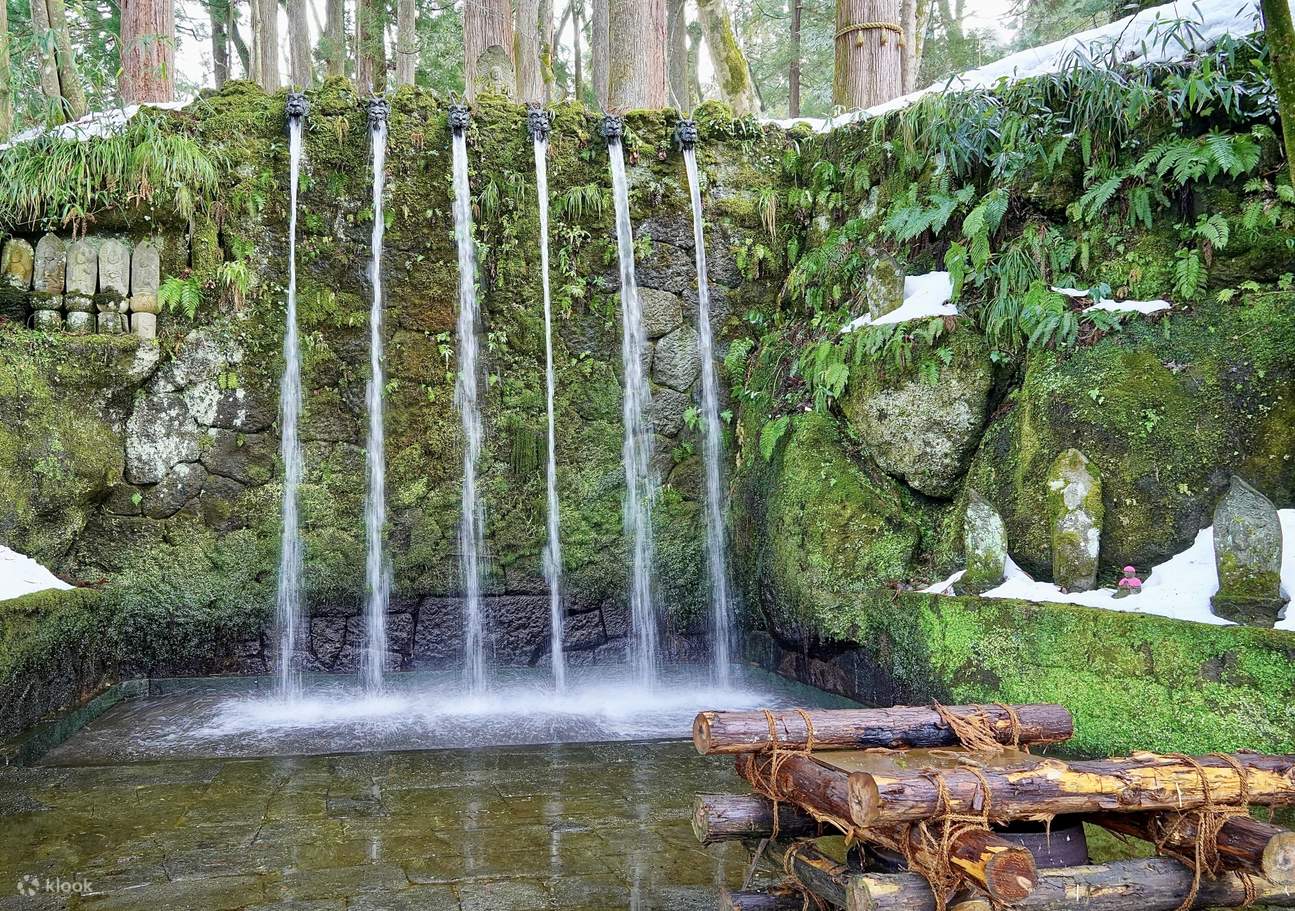 [Spring Only] From Kanazawa/Toyama: The Spring Quartet of Flowers ...
